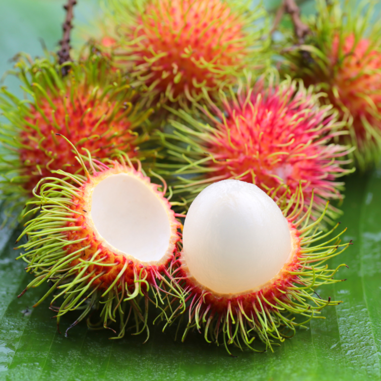 Rambutan: The Exotic Superfruit You Need in Your Diet! - Sanatone
